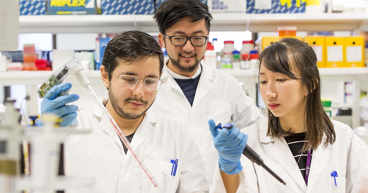 Inherited retinal disease (IRD) research | CERA