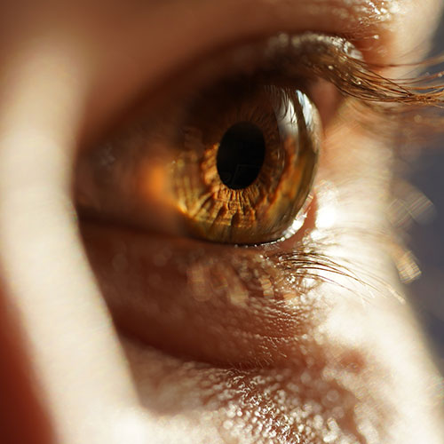 One of the world's first specular microscopes | CERA