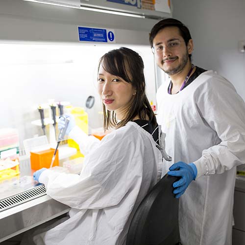 Studying at CERA – Masters, Doctorate and PhD | CERA
