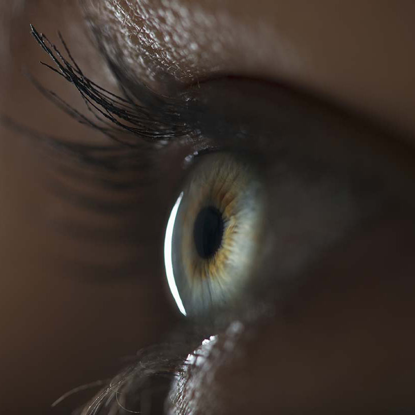 The latest vision research news | CERA