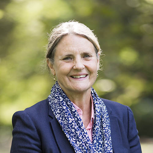 New bionic eye prototype shows promise | CERA