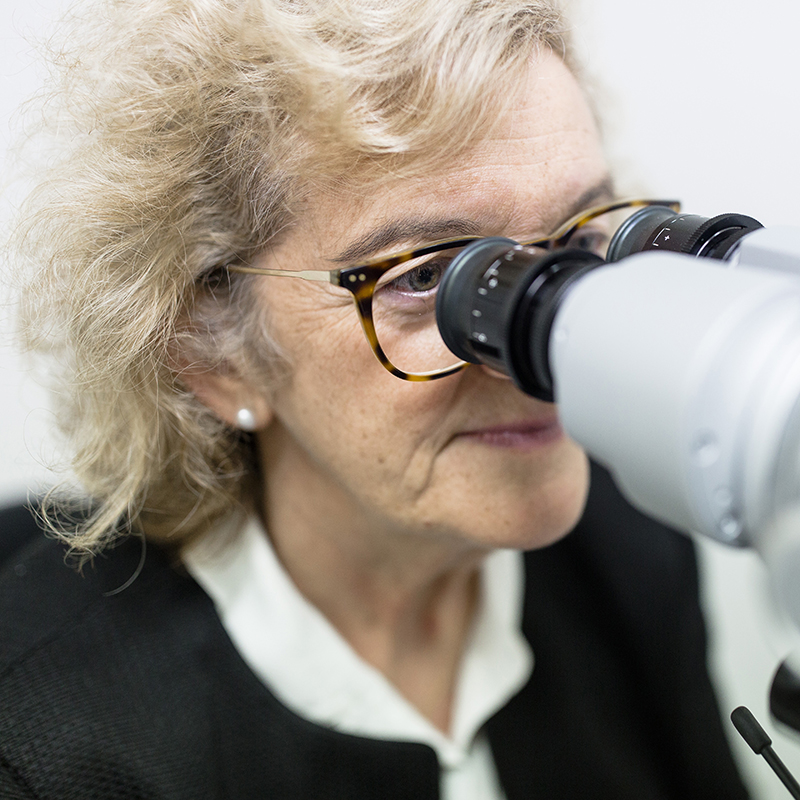 Australian scientists reveal new genetic risk for severe macular ...